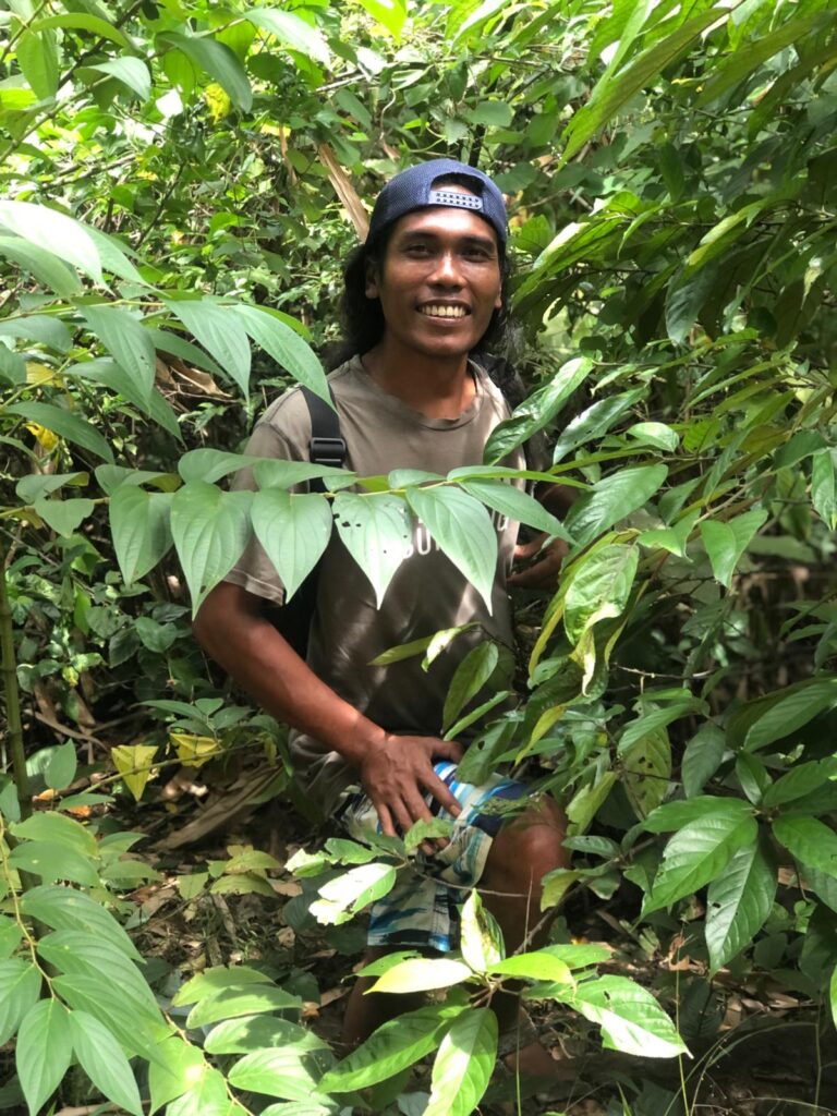 Jungle Guides - Tangkahan Eco Experience